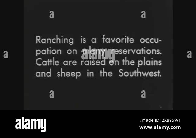 Native American ranchers drive cattle across the plains, and sheep are ...