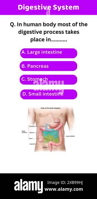 Digestive process Stock Videos & Footage - HD and 4K Video Clips - Alamy