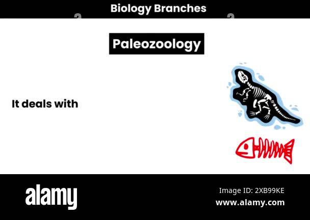 Paleozoology Stock Videos & Footage - HD and 4K Video Clips - Alamy