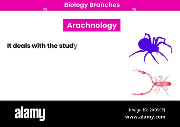 Arachnology Stock Videos & Footage - HD and 4K Video Clips - Alamy