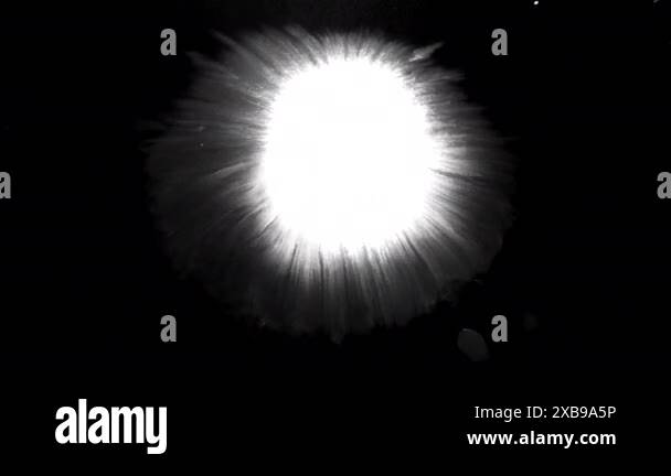 ink transition on white screen, drop texture, ink transition splatter ...