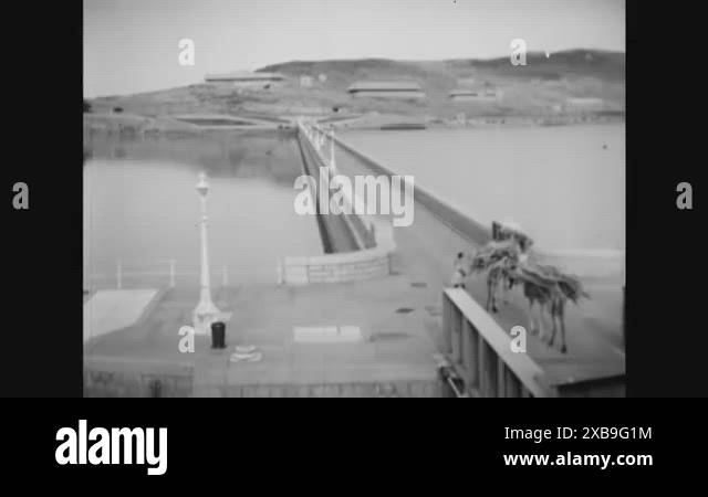 Two dams, Jebel Alia and Sennar Dams, have been built on the white and ...