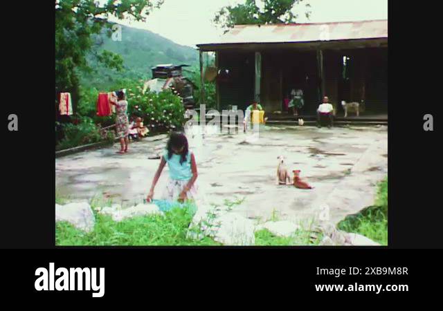 Sugar cane is cut, a man picks coffee beans, and men play dominoes ...