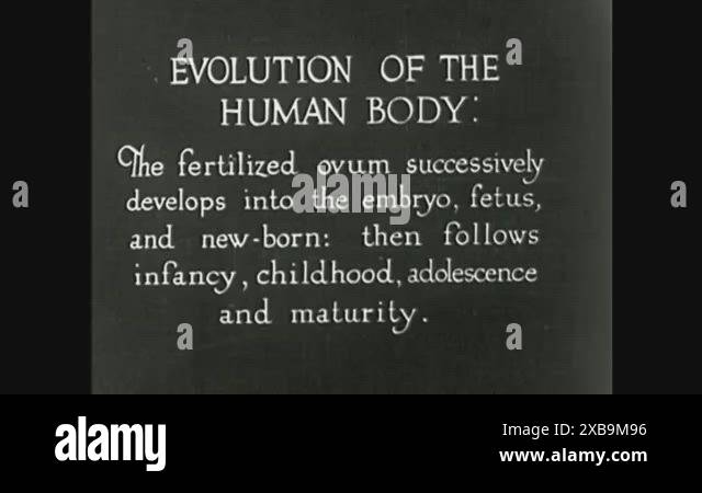 Female reproductive system diagrams human anatomy Stock Videos ...