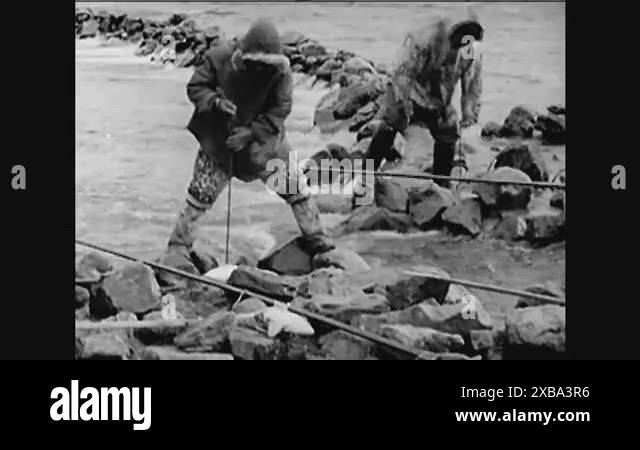 Indigenous north american fish Stock Videos & Footage - HD and 4K Video ...