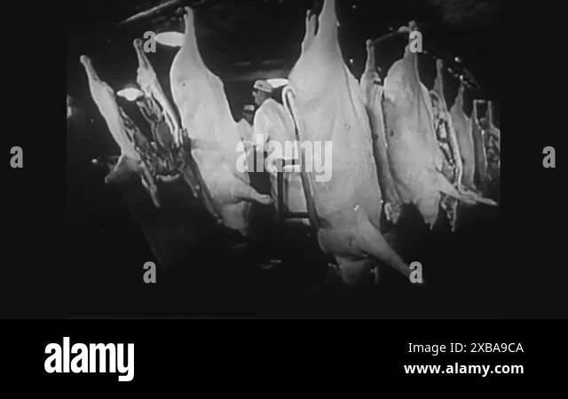 Butchers disassemble slaughtered hogs at a meatpacking plant in the ...