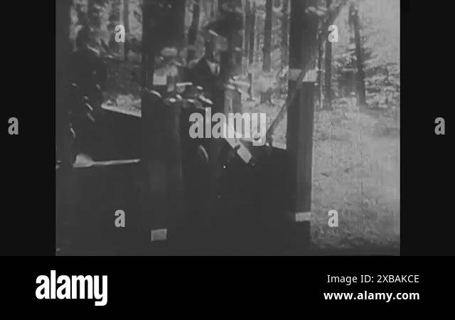 Nazi leader Adolf Hitler meets with Field Marshal Hermann Wilhelm ...