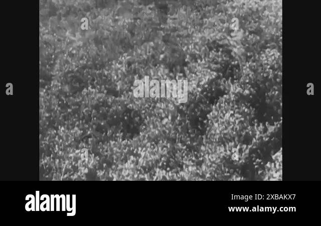 The Roebling Alligator, an amphibious landing craft, is driven through ...