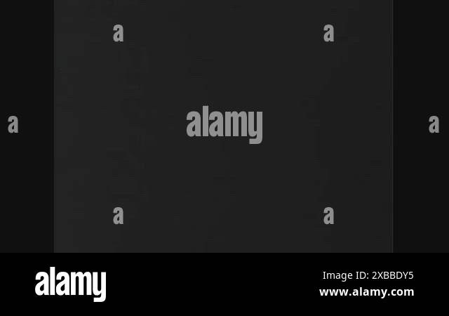 Ross Allen releases and re-captures a giant anaconda as part of a ...