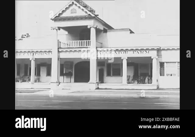 1927 - Alligators swim and are fed in an overcrowded farm in California ...