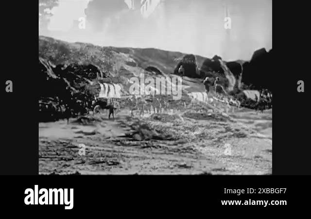 Covered wagons are shown as well as prospectors digging and panning ...