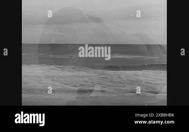 Ww2 german animal Stock Videos & Footage - HD and 4K Video Clips - Alamy