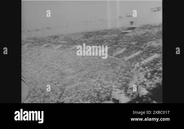 1964-- American athletes take gold in the 100m men's and women's track ...