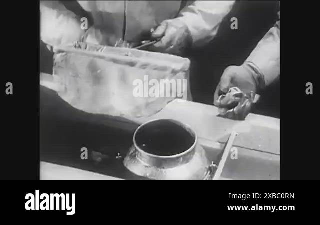 1950s - Biologists research radioactivity in sheep and plants at an ...