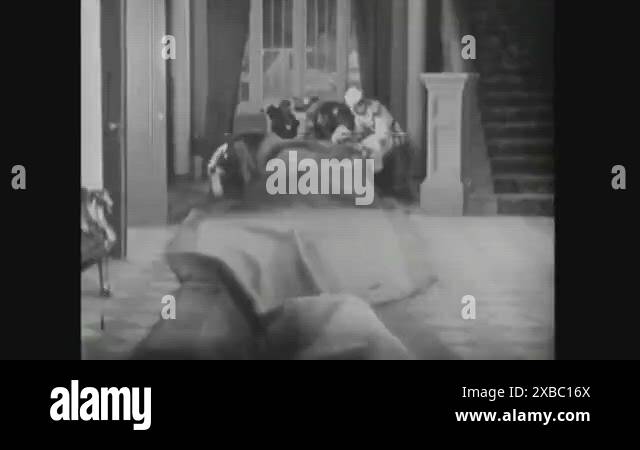 Princess bride Stock Videos & Footage - HD and 4K Video Clips - Alamy