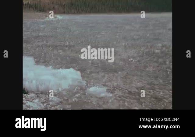 1970s - The melting of the ice and a ptarmigan bird changing color, in ...