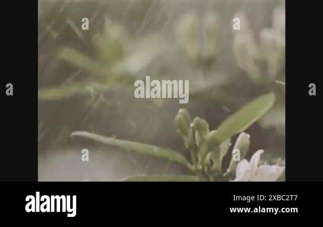 An animated sequence of how rain is produced from the 1970s Stock Video ...
