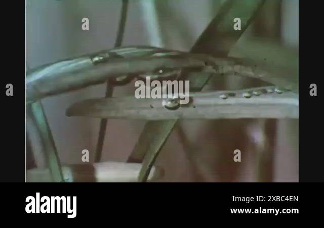 An animated sequence shows the relationship between fish and plants in ...