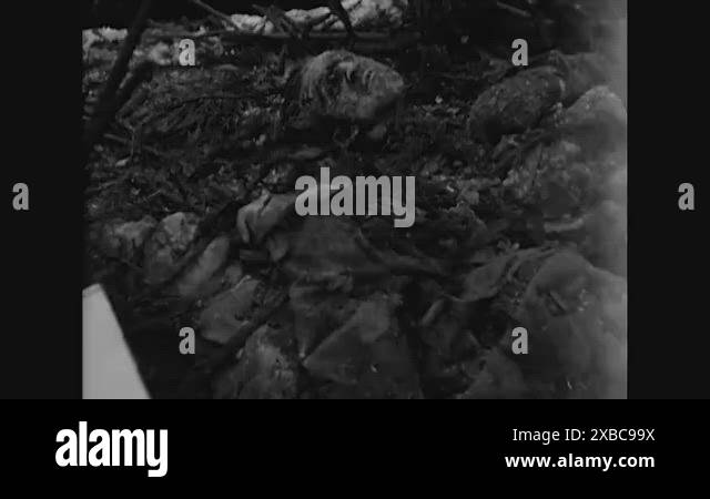 1944 - Dead German soldiers lie in the snow, and 38th Infantry Regiment ...
