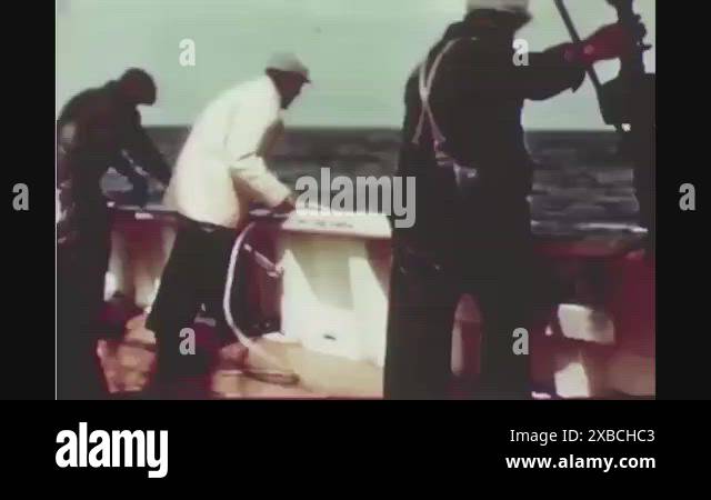 Dip nets are submerged and mackerel fish are hauled onto a fishing boat ...