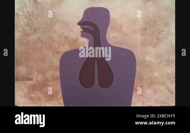 1969 - Animation is used to show how radiation can be taken in through ...