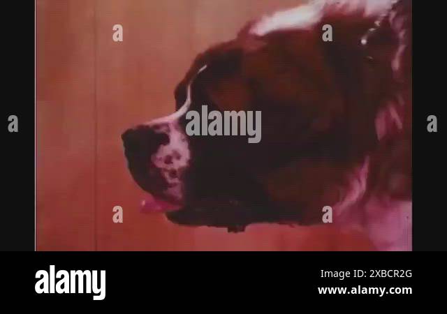An animation explains the process alcohol goes through in the body to ...
