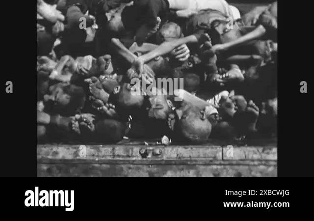 1945 - Corpses and a dead victim of medical experiments at Dachau Nazi ...