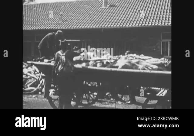 1945 - A pile of dead bodies is seen in Dachau Nazi Holocaust ...