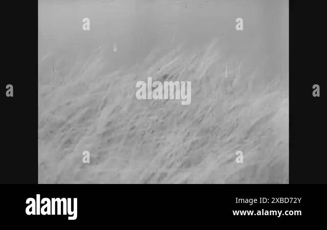 1940 nazi germany infantry Stock Videos & Footage - HD and 4K Video ...