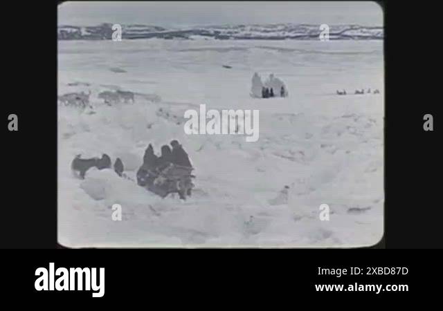 Eskimos in the Arctic move across the tundra using sled dogs in the ...
