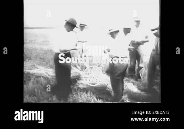 Russian agricultural experts learn methods for farming wheat and visit ...