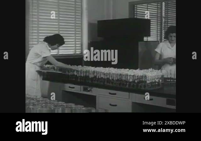 1950s - Men and women work in a research laboratory studying terramycin ...