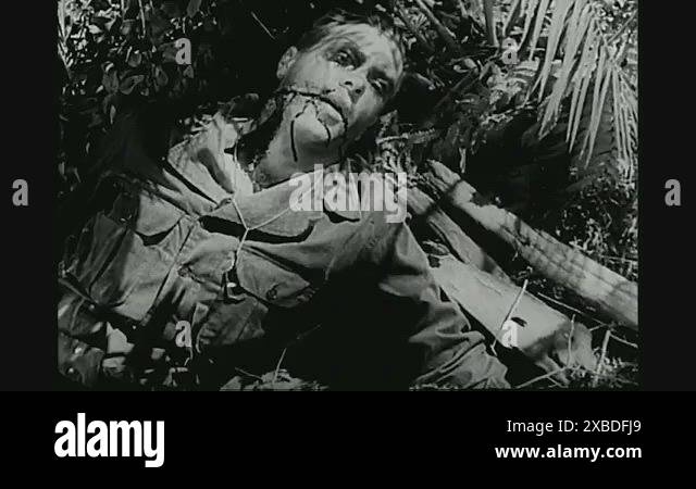 Dead soldiers with grotesque wounds and images from a World War 2 war ...