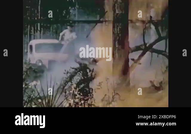 Firefighters spray water from hoses on a forest fire and stomp ash with ...