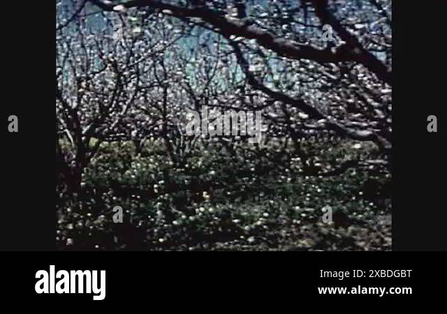 Monte sacramento Stock Videos & Footage - HD and 4K Video Clips - Alamy