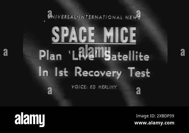 1959 - Lab mice are prepared for space flight in a Lockheed research ...
