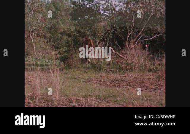 1960s - A man captures a monitor lizard outside his African campsite in ...