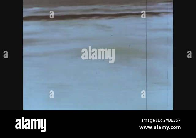 1960s - A US Navy Blue Angel Grumman Tiger jet flies upside-down over ...