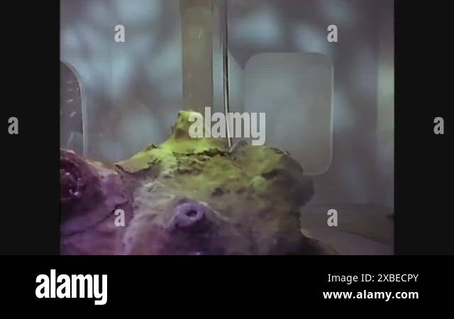 1968 - In this horror film, a mad scientist gets delusions of grandeur ...