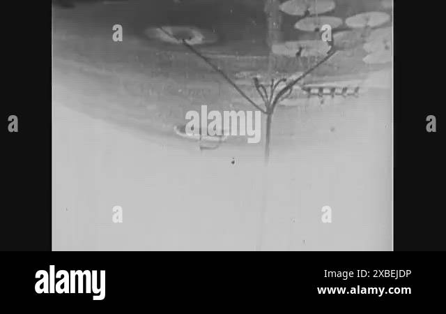 1918 - Blimp pilots film themselves and their engine while in flight ...