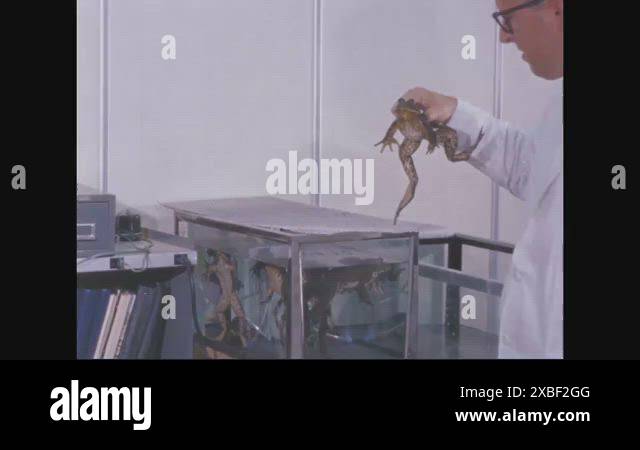 1966 - A NASA scientist kills a frog by placing it in a sealed water ...