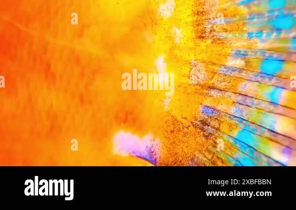 4K This clip features brightly colored discus fish swimming in an ...