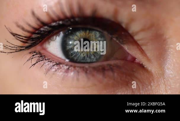 Human eye anatomy light Stock Videos & Footage - HD and 4K Video Clips ...