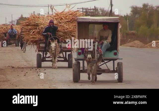 Horsedrawn vehicles Stock Videos & Footage - HD and 4K Video Clips - Alamy