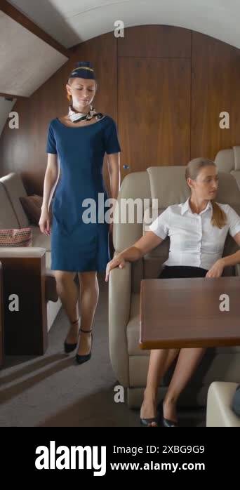 Pretty stewardess offers help and service for luxury private jet ...