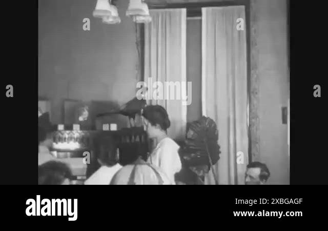 A generator is started and electrical wiring is shown and lights are ...