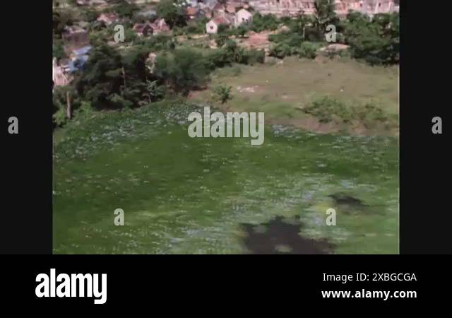 1967 - An aerial view shows marshes and forests in Qui Nhon Stock Video ... 1967 - An aerial view shows marshes and forests in Qui Nhon Stock Video ...