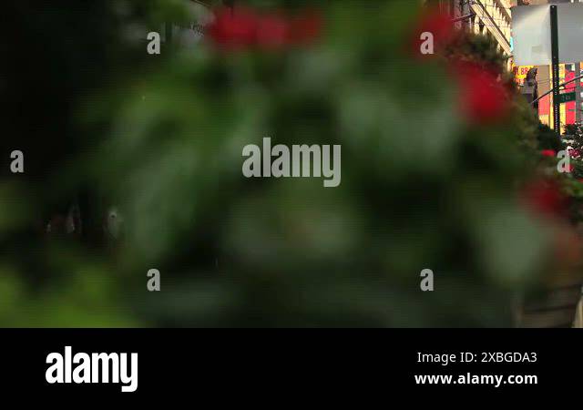 Pan right to a view of traffic passing on a busy street in New York ...