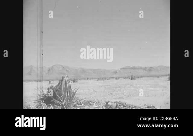 1952 - An atomic explosion goes off at Camp Desert Rock, forming a ...