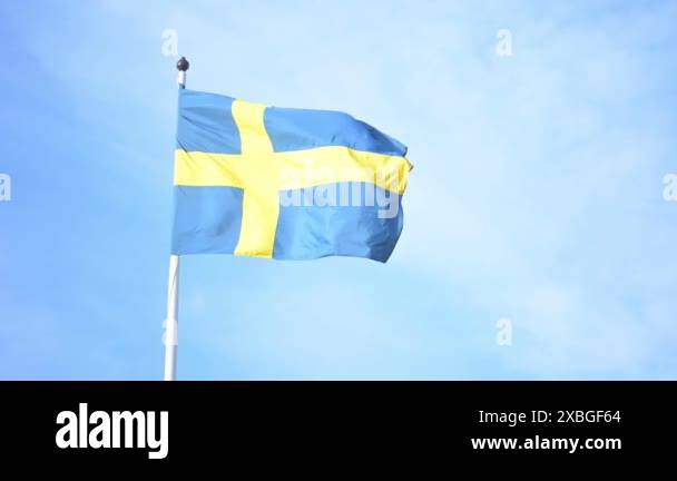 Swedish flags waving with the wind flow under the blue sky for national day celebration and ...